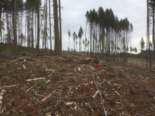 Retention Treatments - The Mother Tree Project & Program (MTPP)