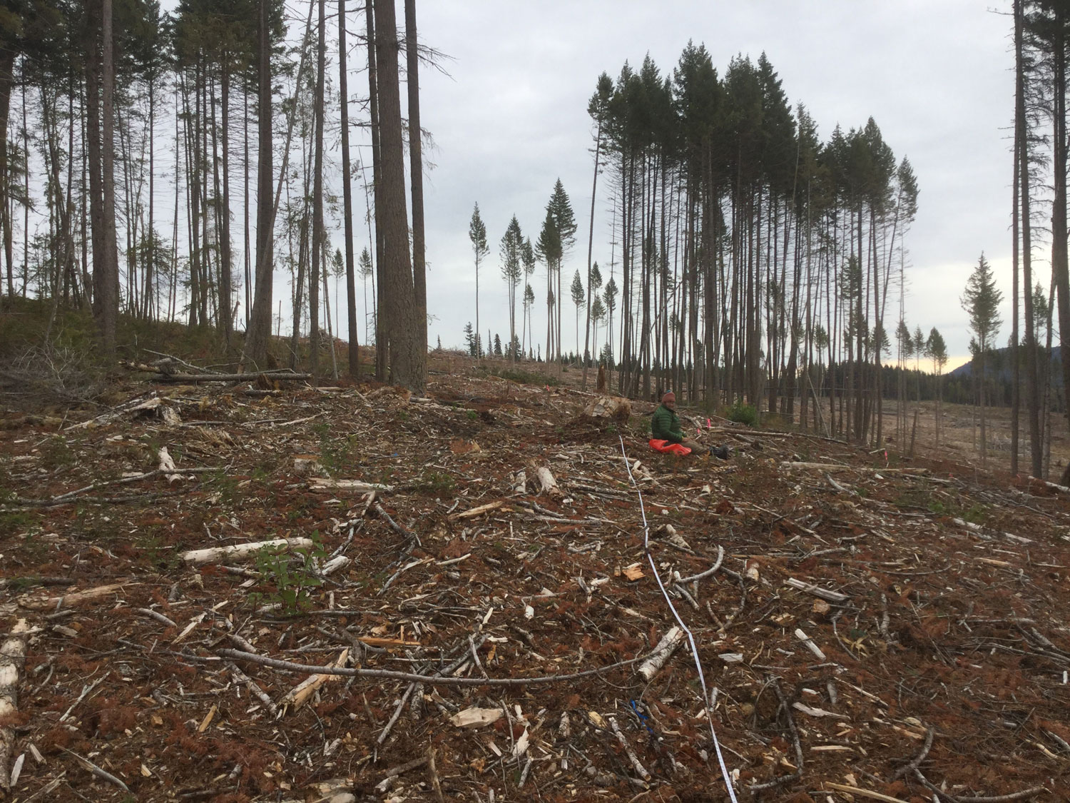 Retention Treatments - The Mother Tree Project & Program (MTPP)