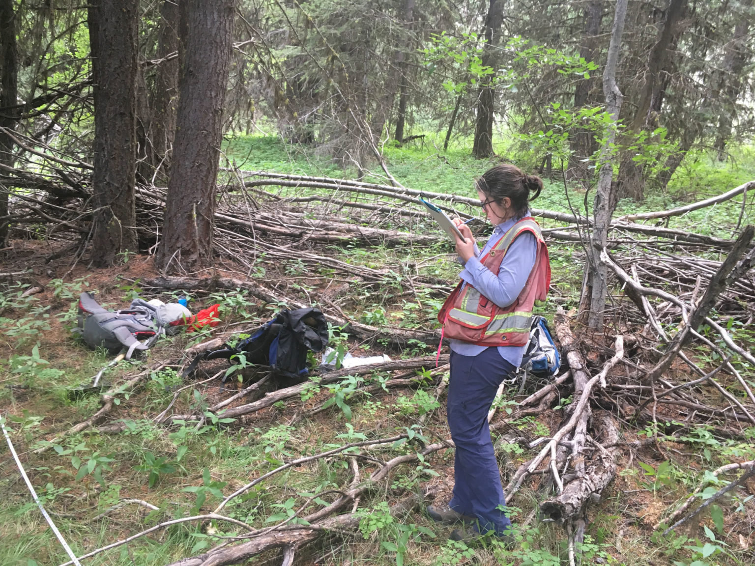 Mother Tree Project - The Mother Tree Project & Program (MTPP)