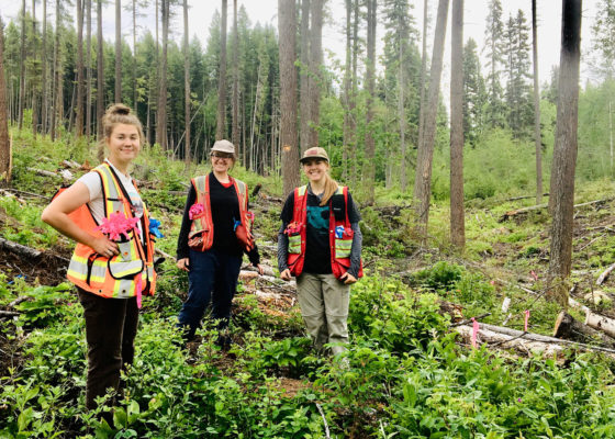 Team - The Mother Tree Project