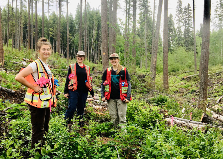 Team - The Mother Tree Project