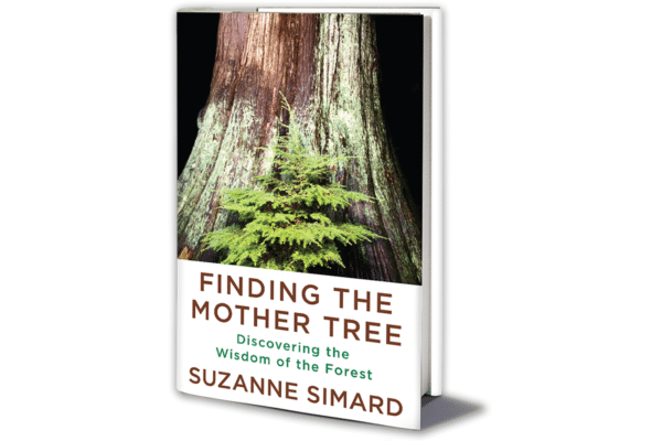 Suzanne Simard Releases her Book “Finding the Mother Tree” on May 4th ...