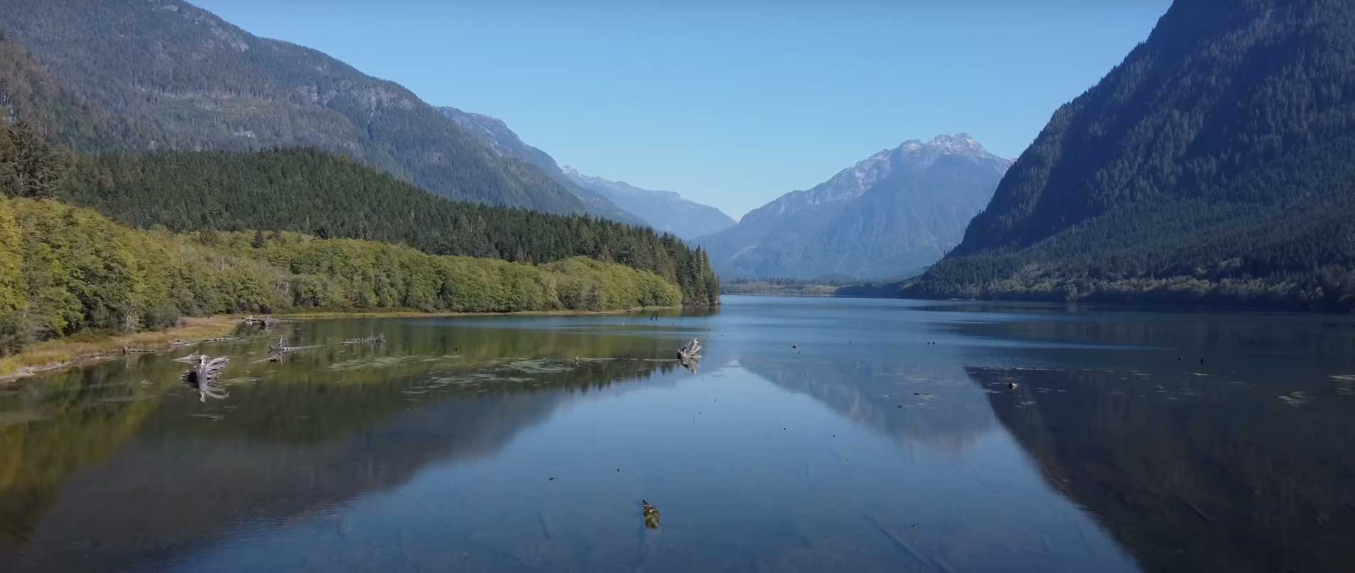 Mother Tree Project Congratulates Kwiakah First Nation for their Plans ...