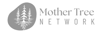 Home - The Mother Tree Project